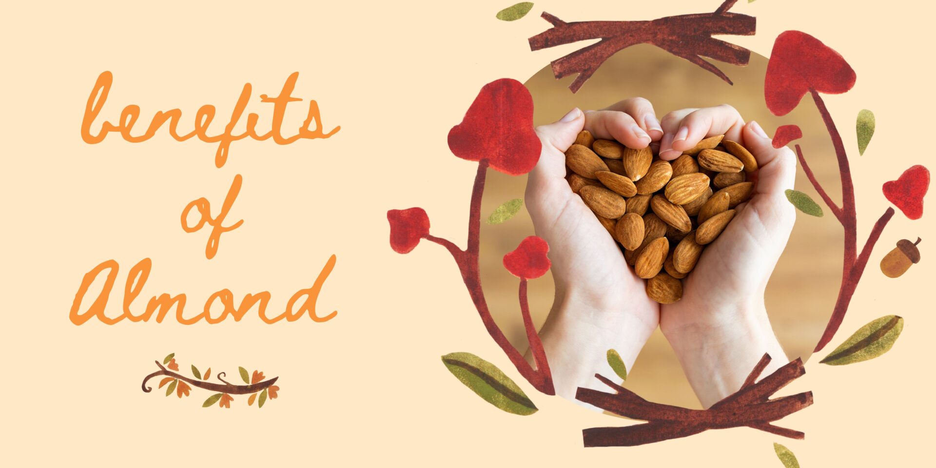 Benefits Of Almonds For Skin, Hair And Health