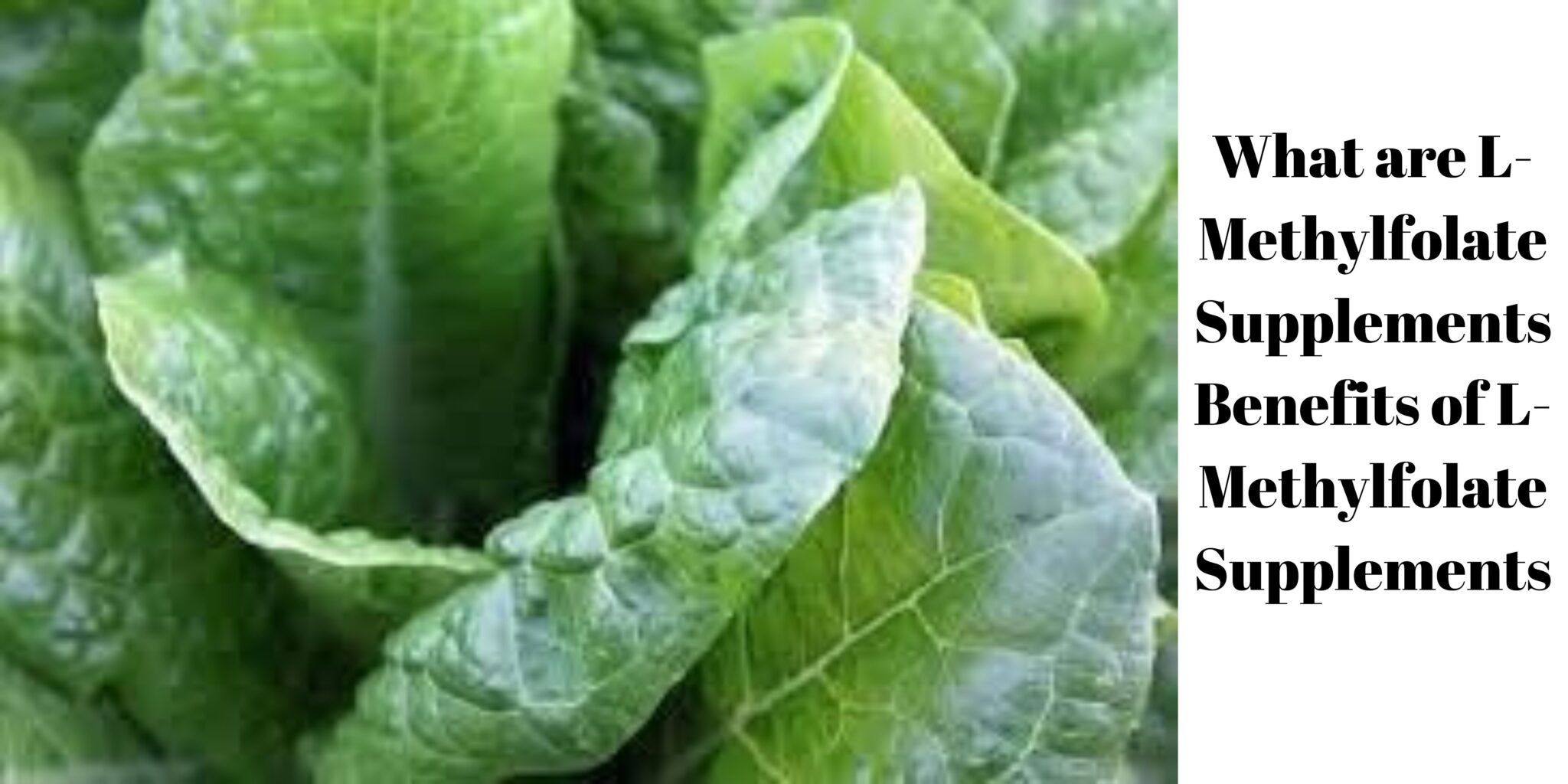 What are L-Methylfolate Supplements Benefits of L-Methylfolate Supplements