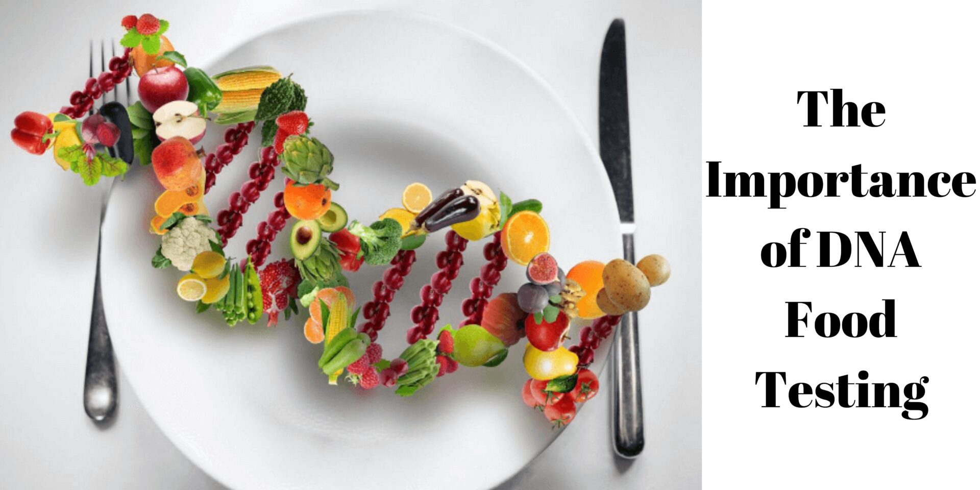 The Importance of DNA Food Testing