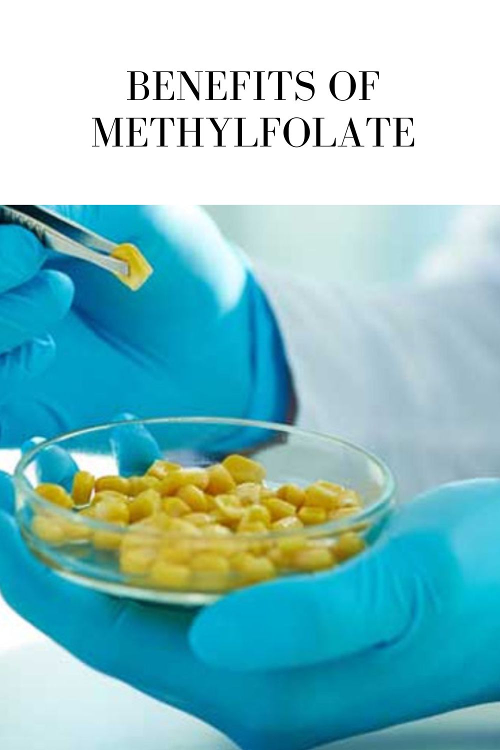 The Importance Of DNA Food Testing