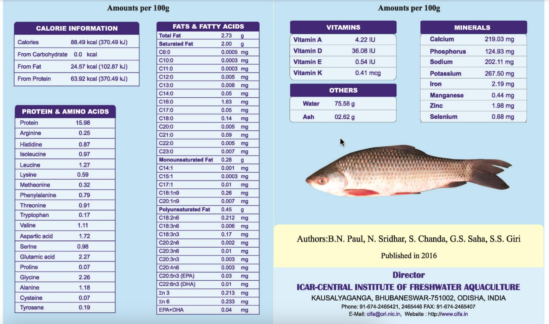 Why Should You Eat Rohu Fish: Rohu Fish Benefits - Find Health Tips